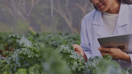 Our Story – ISOLUTION®